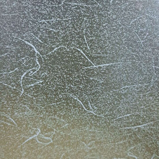 Obscure Window Films | Brighter Spaces Interior Limited